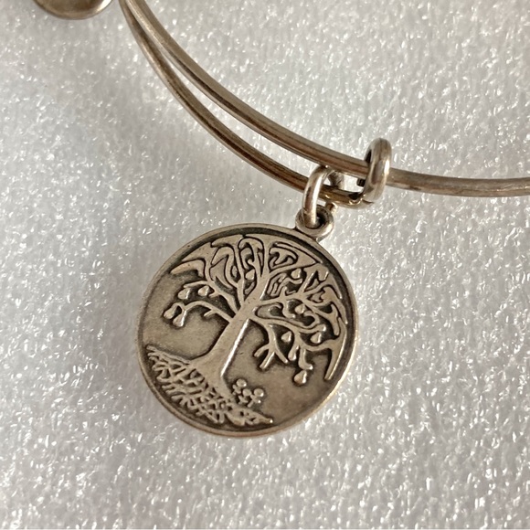 Alex and Ani | Jewelry | Alex And Ani Tree Of Life Bracelet Silver Tone ...